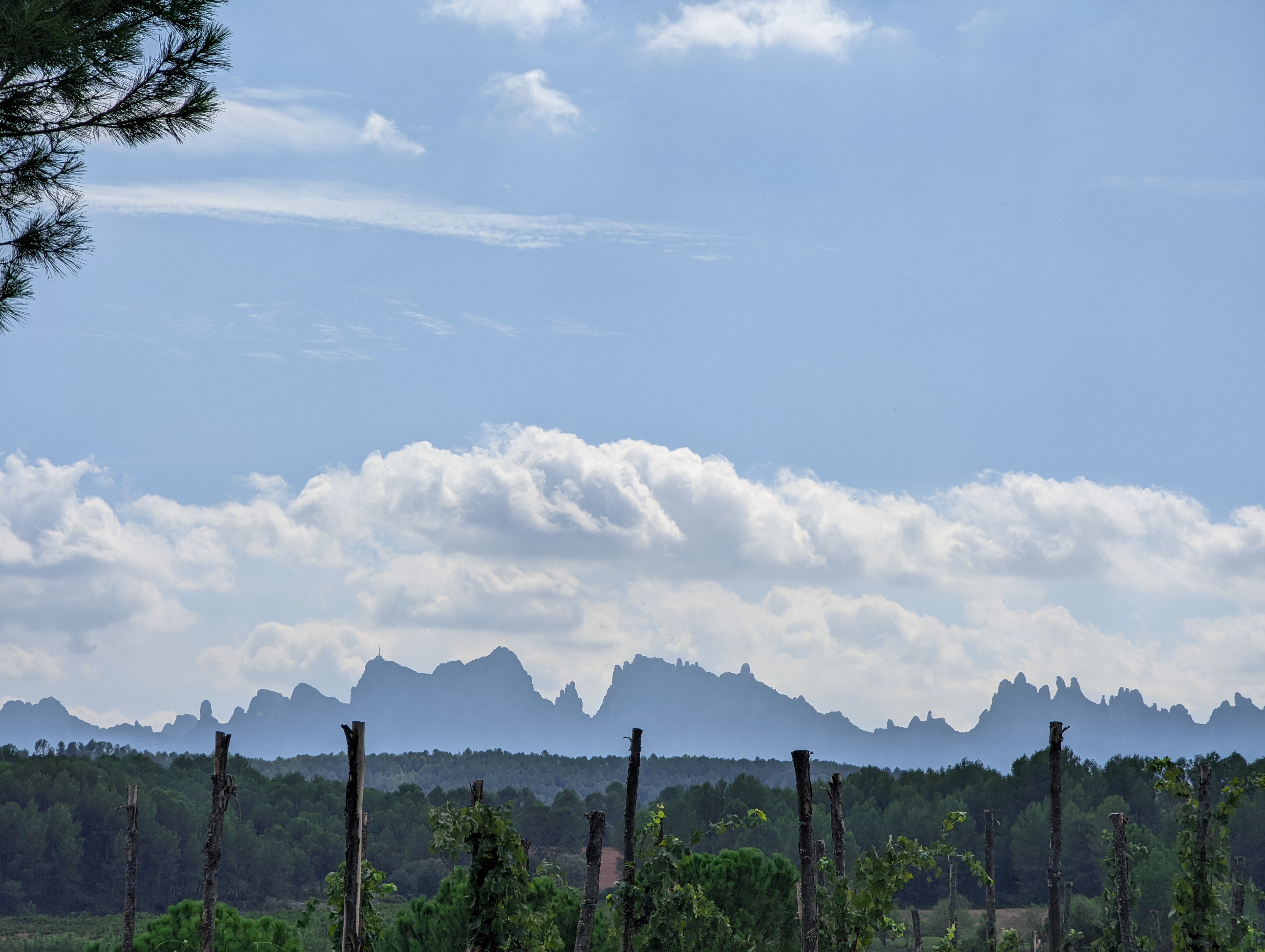 Musings | Muse: 1) to become absorbed in thought, especially ...